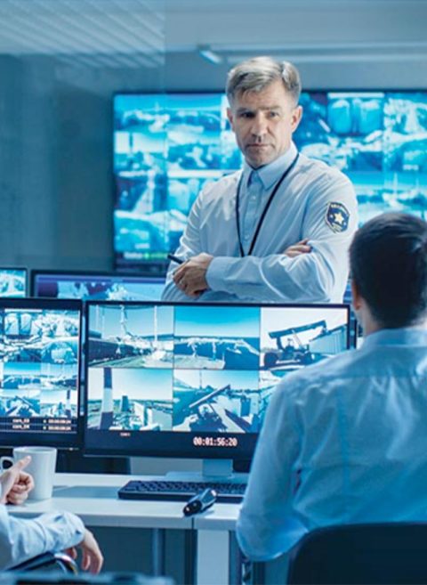 Remote Video Monitoring - Black Lab Alarm - RVM for MA & NH